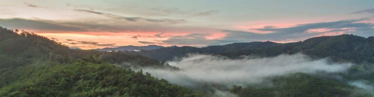 Borneo travel guide | Get info & tips from Borneo experts | BORNEOGURU